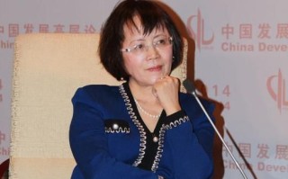 胡舒立是谁_财新网胡舒立背景