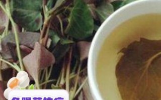 鱼腥草茶可以长期喝吗_鱼腥草茶长期饮用的副作用