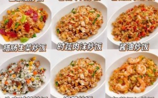 48种炒饭的做法大全_家常炒饭怎么做好吃