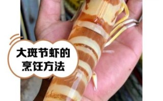斑节对虾多少钱一斤_斑节对虾价格为什么波动大