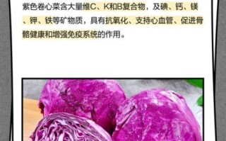 紫卷心菜怎么炒好吃_紫卷心菜凉拌做法