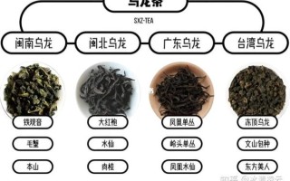 乌龙茶和红茶的区别_哪个更适合减肥