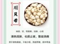 藏贝母和川贝母的区别_哪个止咳更好