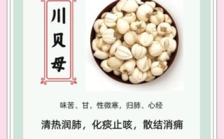 藏贝母和川贝母的区别_哪个止咳更好