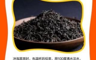 黑茶怎么泡_黑茶泡多久最佳