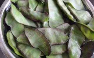 梅豆角的功效与作用_梅豆角的禁忌有哪些