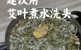 艾叶煮水洗头能白发变黑发吗_艾叶洗头多久见效
