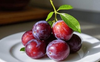 通便吃什么最快排便_便秘吃什么立刻见效