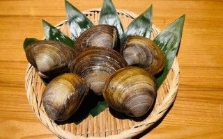 北极贝怎么做好吃_北极贝家常做法大全