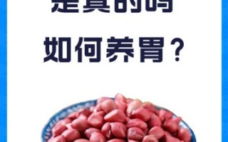 吃生花生米有什么好处_生花生米一天吃多少合适