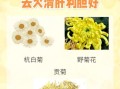 菊花有哪些种类_菊花功效与作用有哪些