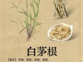 白茅根的功效与作用及用量_白茅根一天吃多少克