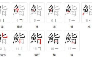 鱼的拼音怎么写_鱼的拼音声调是几声