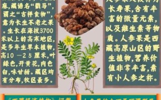 人参果有什么功效_人参果怎么吃最营养