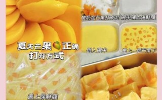 酸奶冻怎么做_酸奶冻需要哪些材料