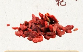 枸杞的营养价值及功效与作用_枸杞怎么吃最补