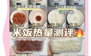 炒米饭的热量是多少_减肥能吃吗