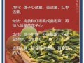莲子心茶禁忌人群_哪些人不能喝莲子心茶