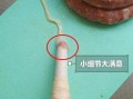 刮肠衣视频教程_如何刮肠衣不破裂