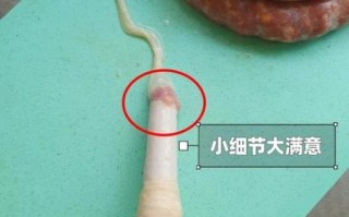 刮肠衣视频教程_如何刮肠衣不破裂