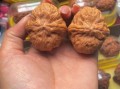 驴打滚狮子头文玩核桃怎么盘_驴打滚狮子头价格多少钱