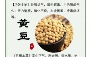 黄豆的功效与作用及副作用_黄豆吃多了有什么危害