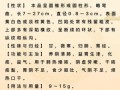 沙参泡水喝的功效_沙参泡水适合什么人喝