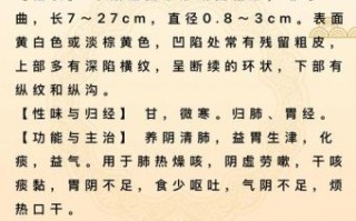 沙参泡水喝的功效_沙参泡水适合什么人喝