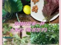 紫苏叶怎么腌制_紫苏叶腌制最简单的方法