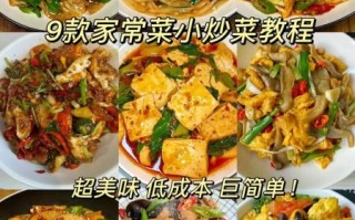 超小厨美食视频怎么做_超小厨家常菜教程