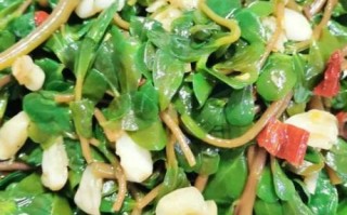 马齿菜怎么做好吃_马齿菜的做法大全