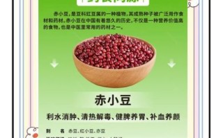 赤小豆的营养价值_赤小豆的功效与作用