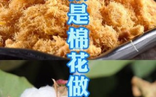 肉松是棉花做的吗_肉松用棉花做的真相