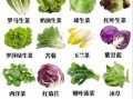 蔬菜种类100种图片大全_哪些蔬菜适合新手种植