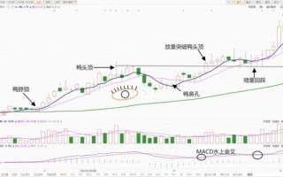 老鸭头形态失败原因_如何避免假突破
