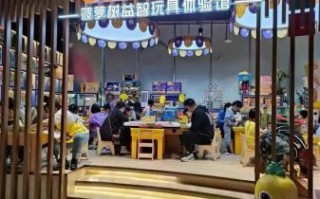 菠萝树益智玩具体验馆值得去吗_门票价格是多少