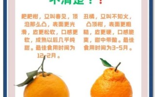 柑和橘的区别_柑和橘哪个好吃