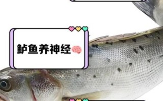 鲈鱼的营养价值及功效_鲈鱼禁忌有哪些