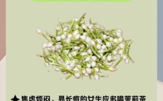 茉莉茉莉花茶花茶的功效与作用_茉莉花茶怎么喝最养生