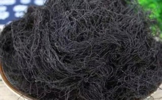 发菜是什么_发菜为什么被禁止采摘