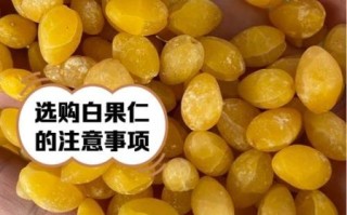 白果仁的功效与作用及禁忌_白果仁怎么吃才安全