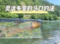 马口鱼怎么钓_马口鱼吃什么饵