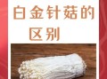 银针菇和金针菇的区别_如何一眼分辨两种菌菇
