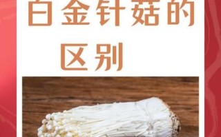 银针菇和金针菇的区别_如何一眼分辨两种菌菇