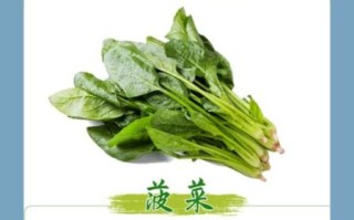 菠菜和它是绝配_菠菜不能和什么一起吃