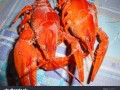 how_to_cook_spicy_crayfish_at_home _ authentic_sichuan_mala_crayfish_recipe