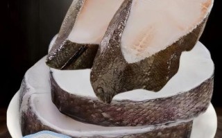 鳕鱼片怎么做_鳕鱼片的做法大全