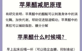 饭后喝苹果醋能减肥吗_苹果醋减肥原理