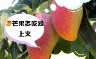 吃芒果会上火吗_芒果上火真相