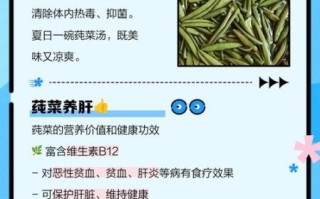 莼菜的营养价值_莼菜的功效与作用